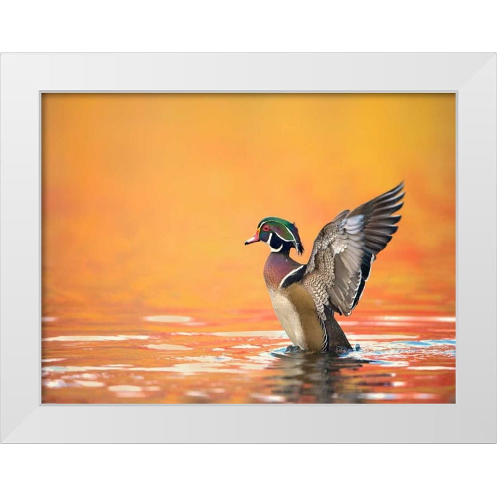 Burchett, PH 32x25 White Modern Wood Framed Museum Art Print Titled ...