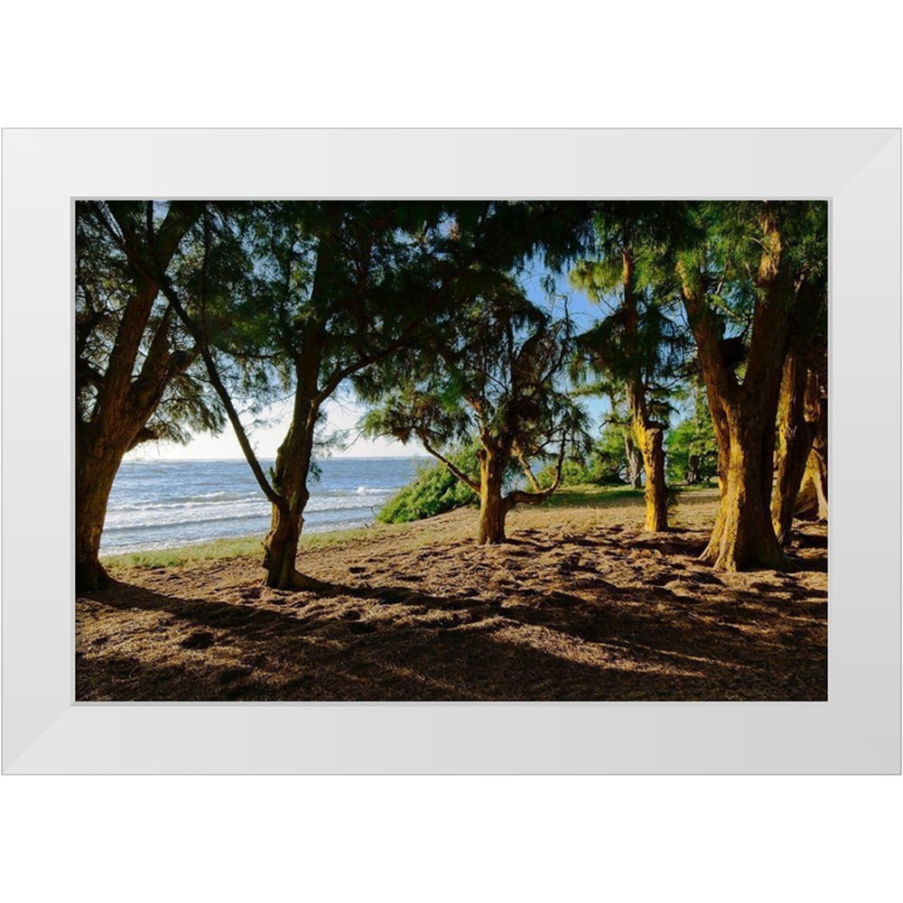 Burdick, Chuck 18x13 White Modern Wood Framed Museum Art Print Titled ...