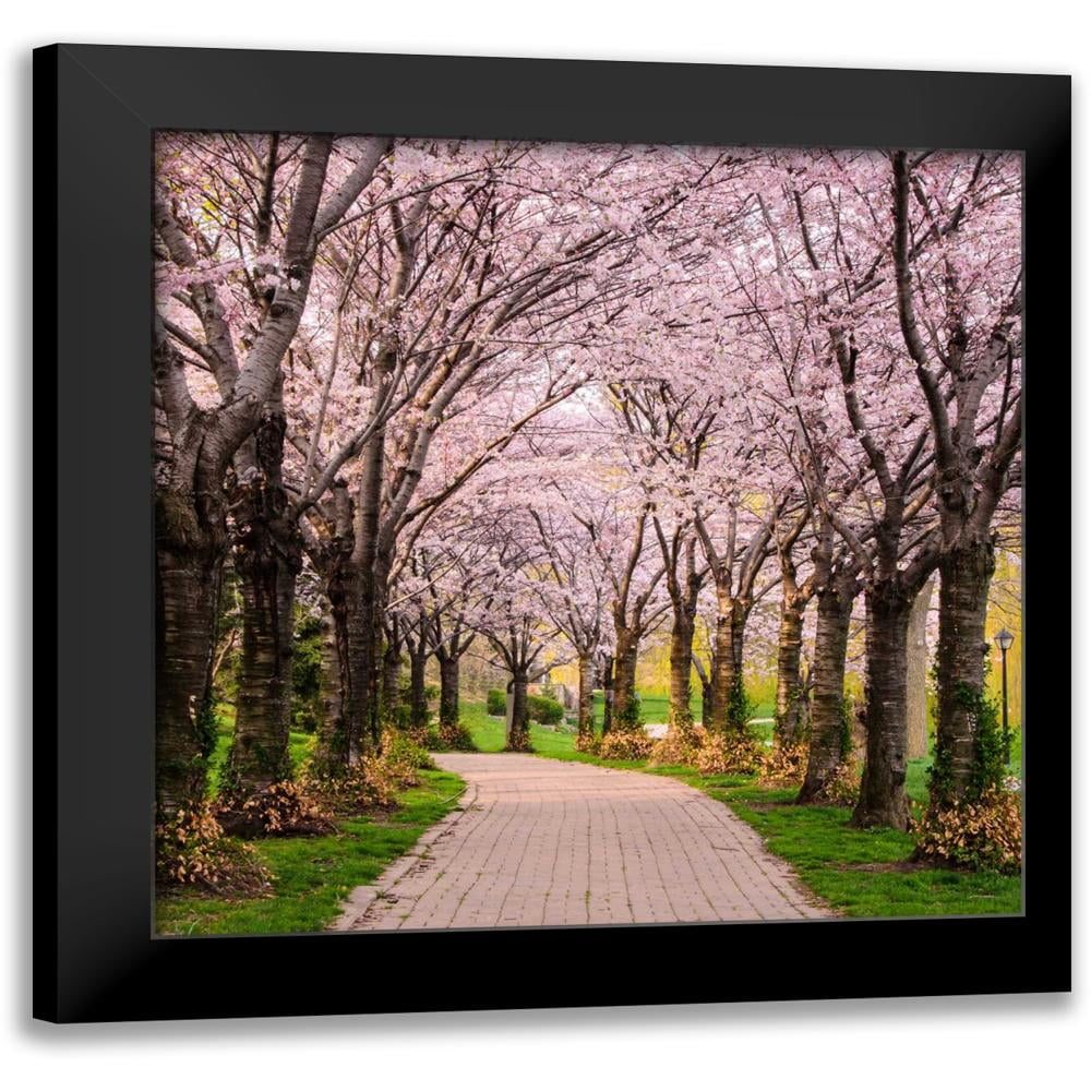 Burdick, Chuck 20x20 Black Modern Framed Museum Art Print Titled ...