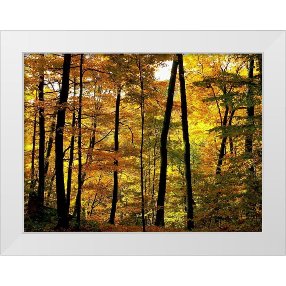 Burdick, Chuck 24x19 White Modern Wood Framed Museum Art Print Titled ...