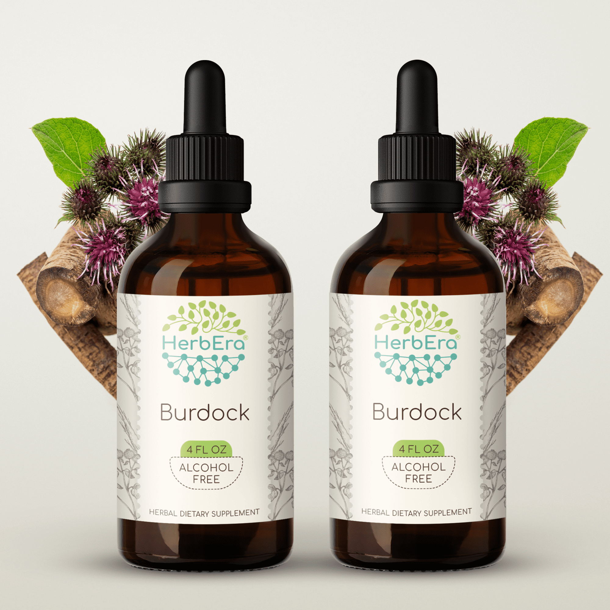 Burdock Alcohol-FREE Herbal Extract Tincture, Super-Concentrated ...