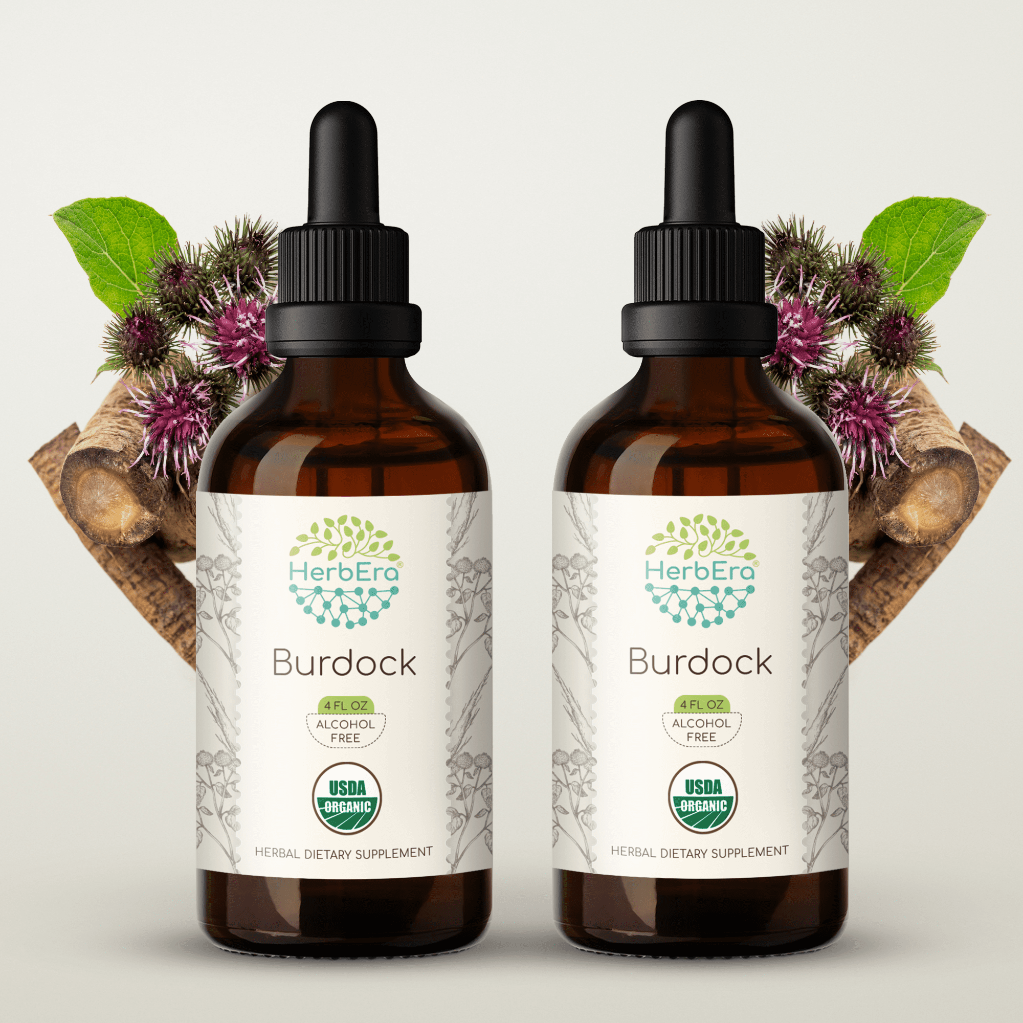 Burdock Alcohol-FREE Herbal Extract Tincture, Super-Concentrated ...