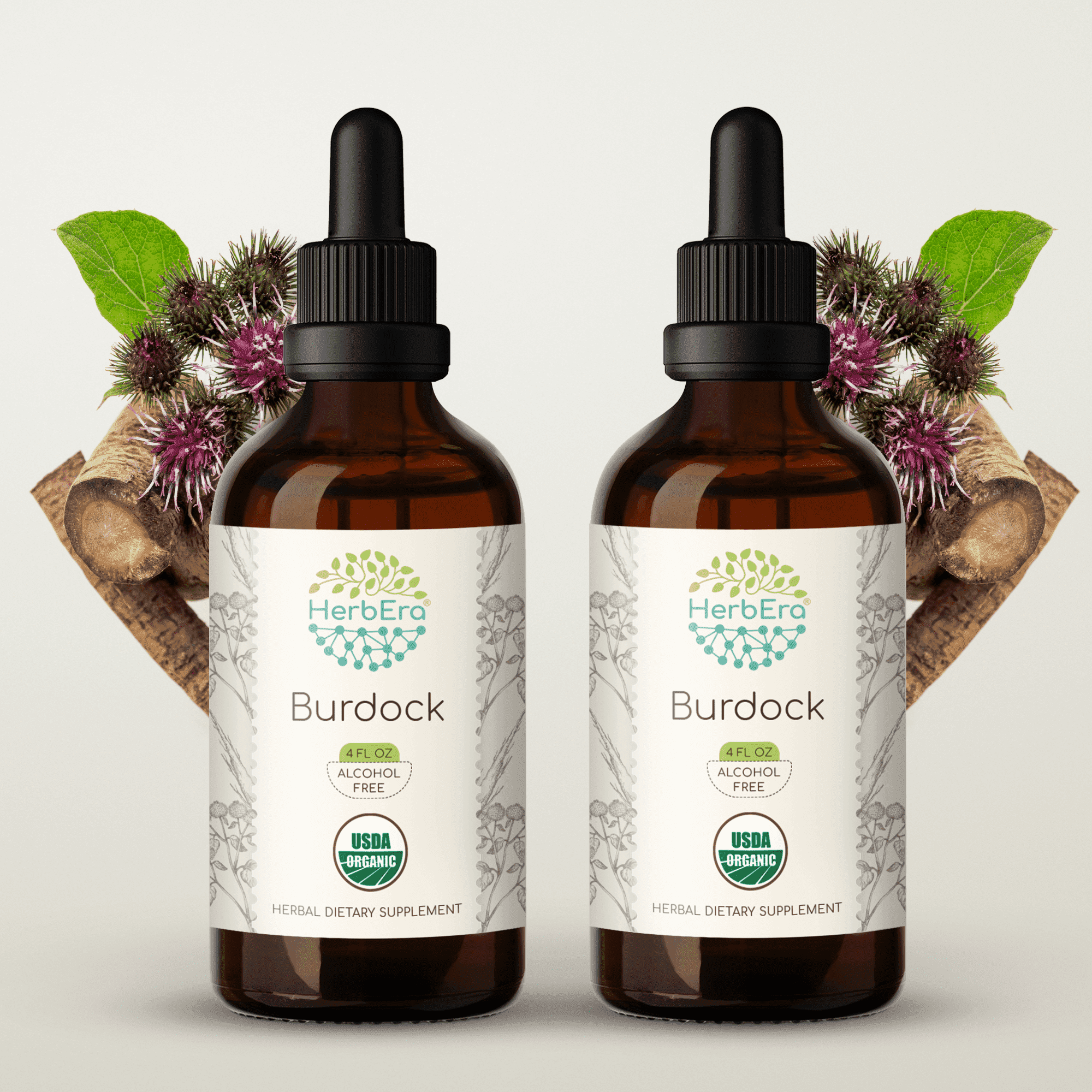HerbEra Burdock Tincture, Organic Herbal Dietary Supplement for Detox ...