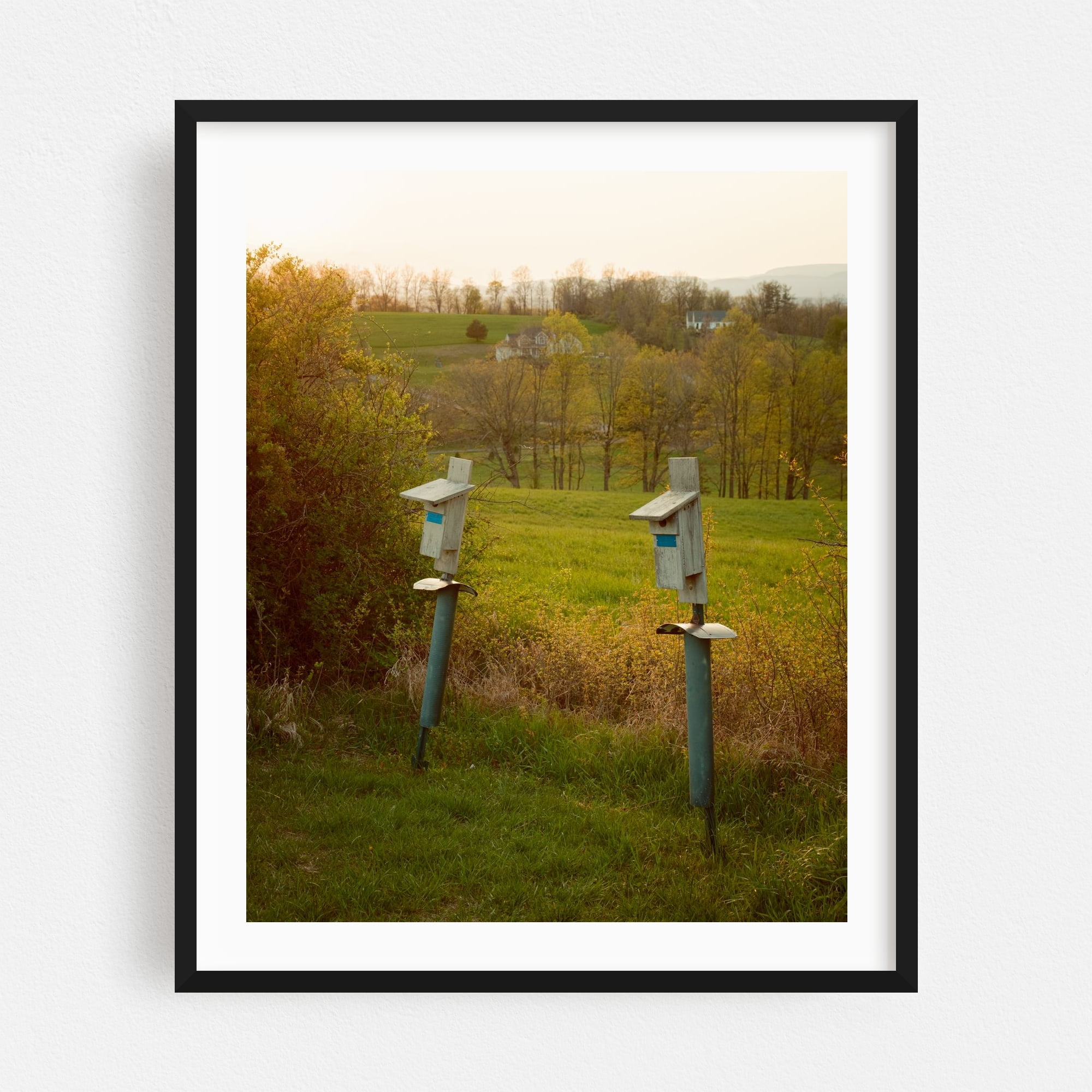 Burger Hill, Rhinebeck 02 - Rhinebeck New York Photography Rural ...