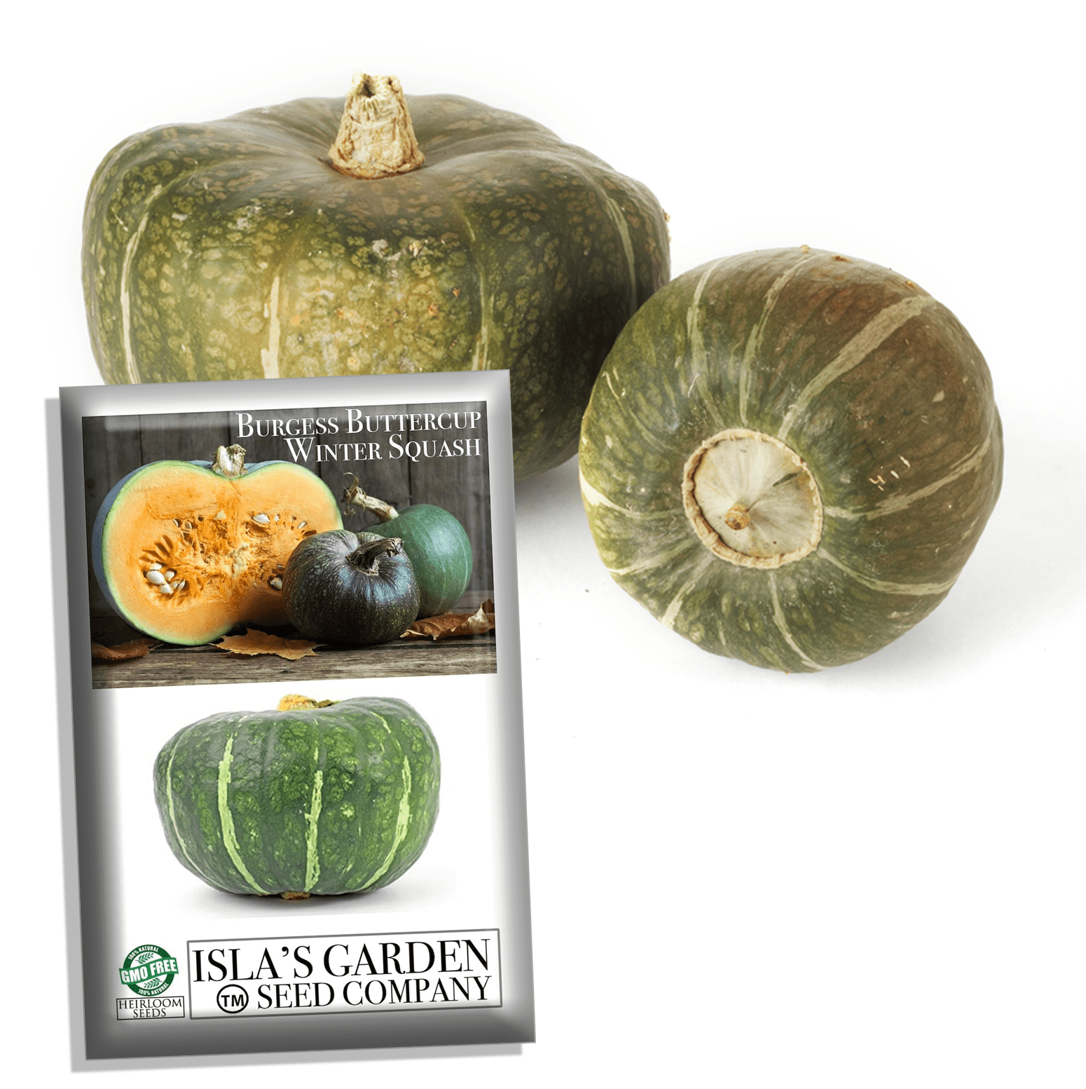Burgess Buttercup Winter Squash Seeds for Planting, 25+ Heirloom Seeds ...