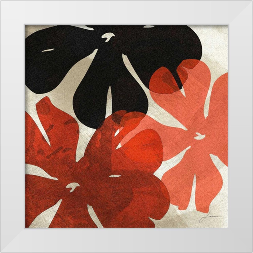 Burghardt, James 20x20 White Modern Wood Framed Museum Art Print Titled ...