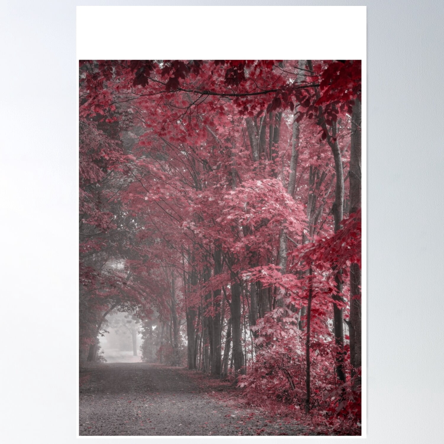 Burgundy Red Misty Forest Poster Wall Art, Modern Wall Decor, 8x12 ...