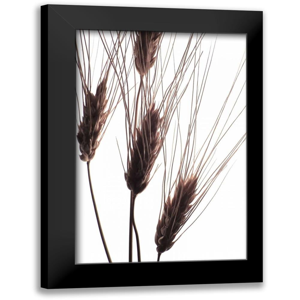 Burkhart, Monika 11x14 Black Modern Framed Museum Art Print Titled ...