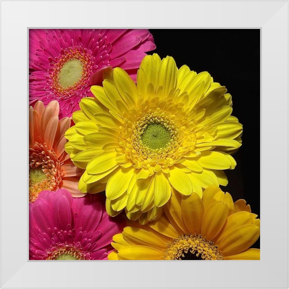 Burkhart, Monika 12x12 White Modern Wood Framed Museum Art Print Titled ...
