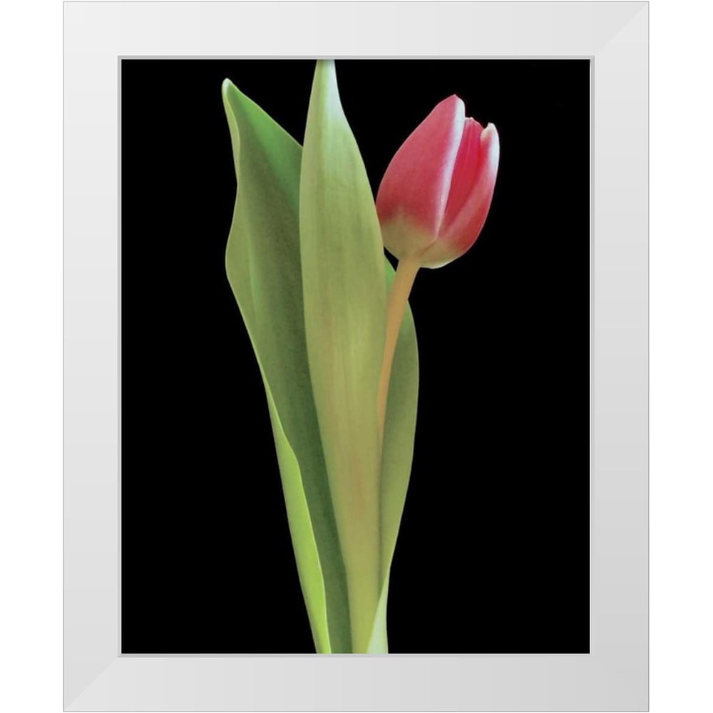 Burkhart, Monika 12x14 White Modern Wood Framed Museum Art Print Titled ...