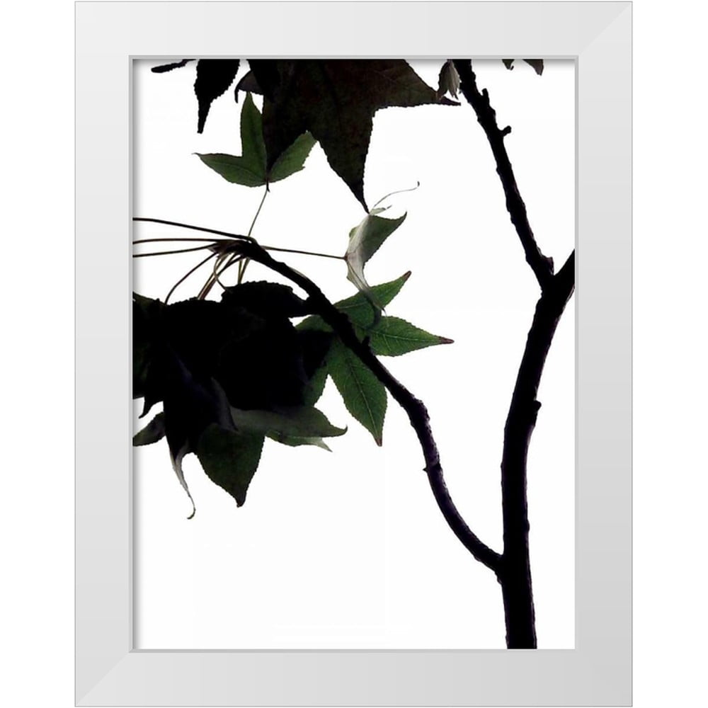 Burkhart, Monika 12x14 White Modern Wood Framed Museum Art Print Titled ...