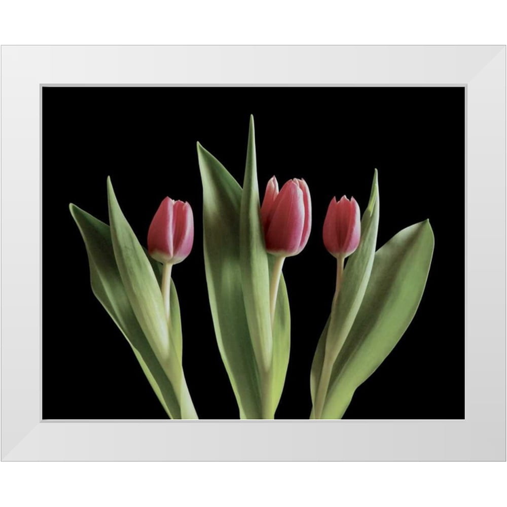 Burkhart, Monika 14x12 White Modern Wood Framed Museum Art Print Titled ...