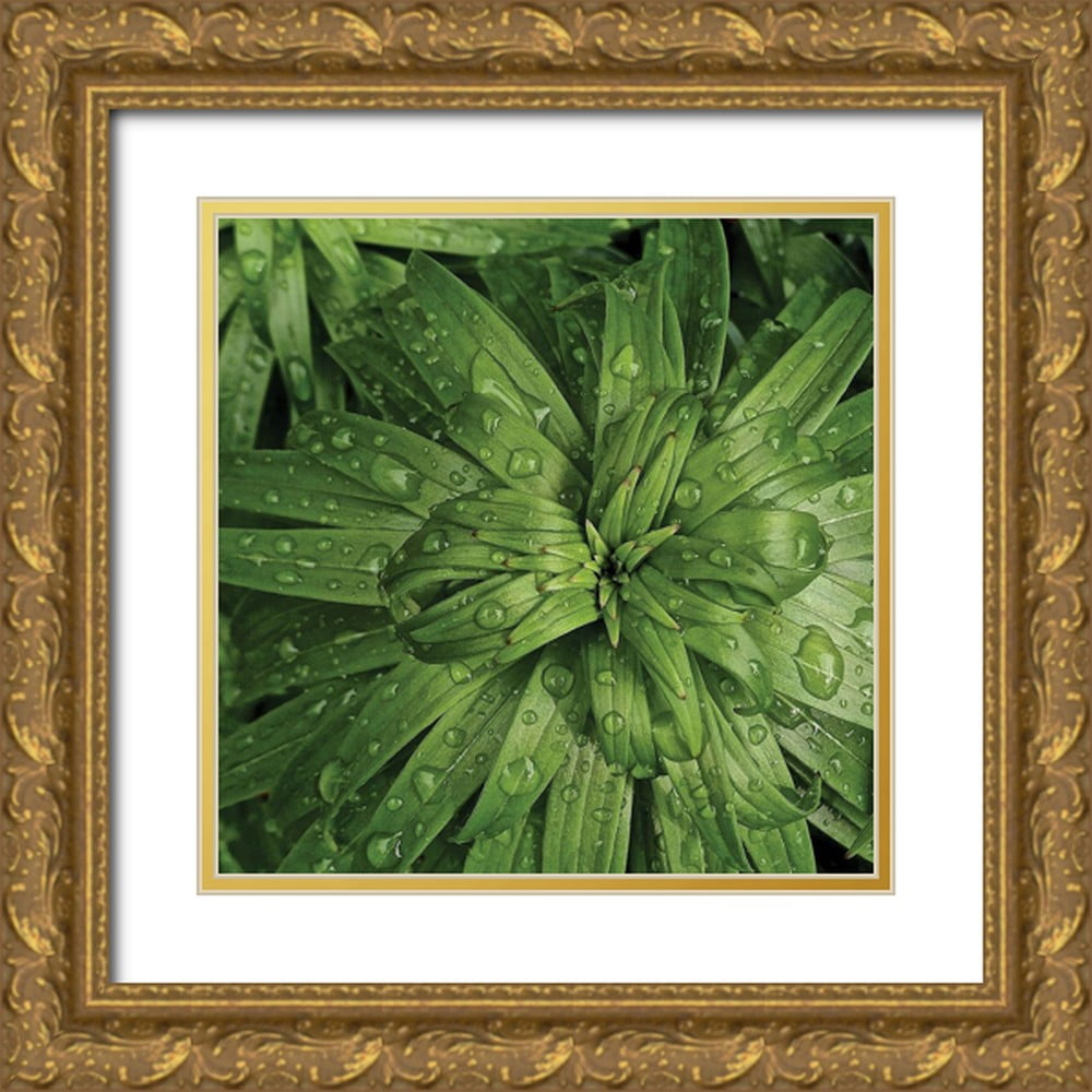 Burkhart, Monika 15x15 Gold Ornate Wood Framed with Double Matting ...