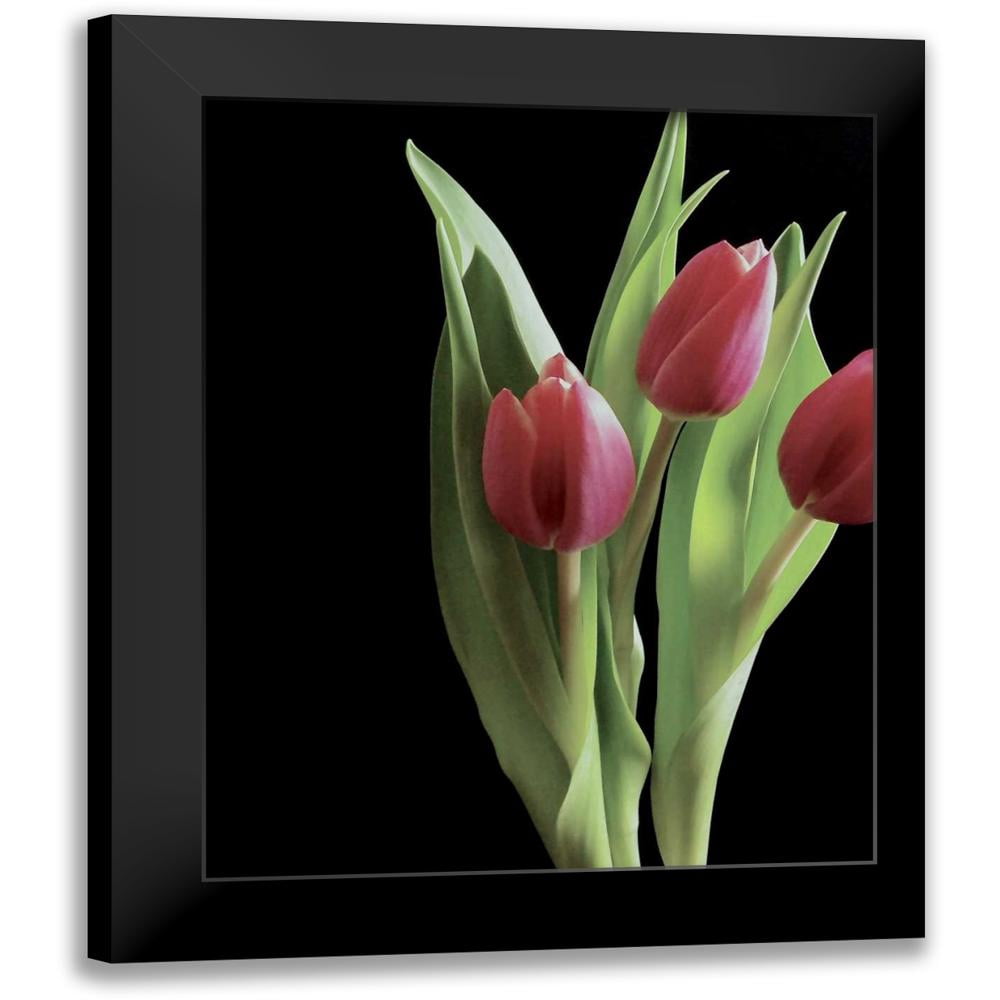 Burkhart, Monika 15x18 Black Modern Framed Museum Art Print Titled ...