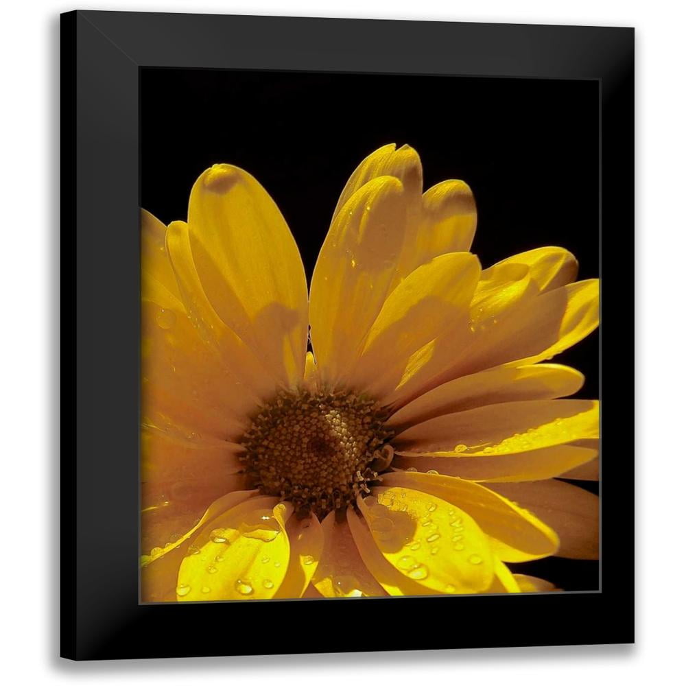 Burkhart, Monika 15x18 Black Modern Framed Museum Art Print Titled ...