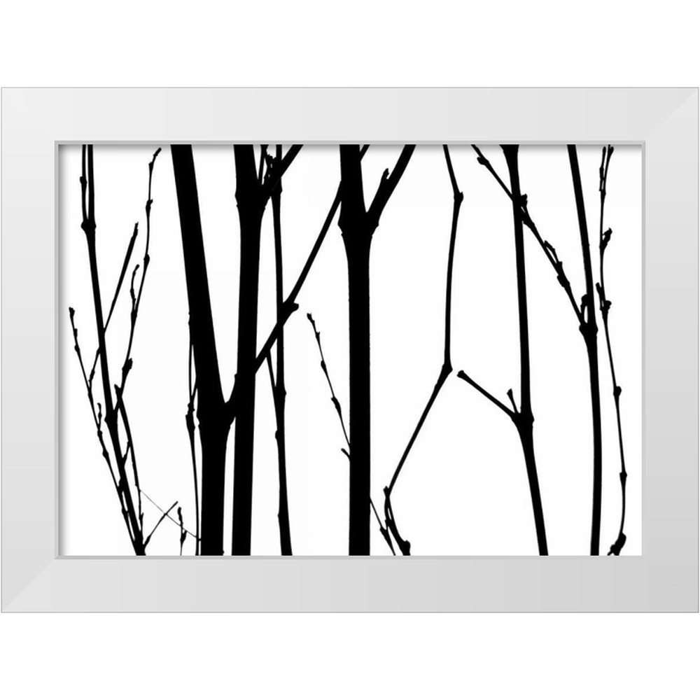Burkhart, Monika 18x14 White Modern Wood Framed Museum Art Print Titled ...