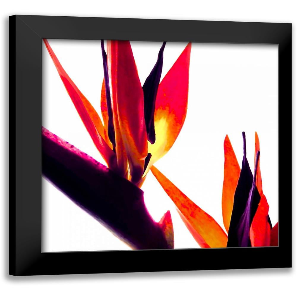 Burkhart, Monika 20x20 Black Modern Framed Museum Art Print Titled ...