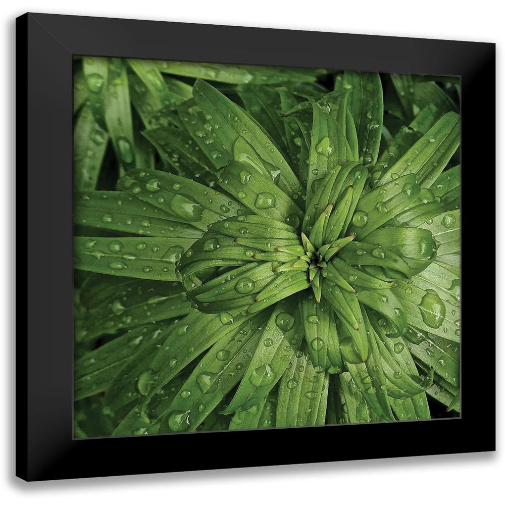 Burkhart, Monika 20x20 Black Modern Framed Museum Art Print Titled ...