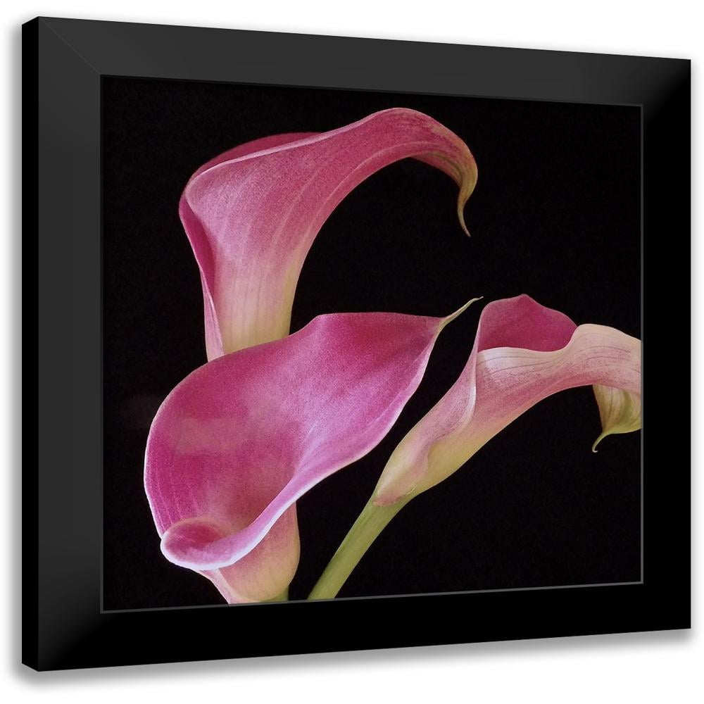 Burkhart, Monika 20x20 Black Modern Framed Museum Art Print Titled ...