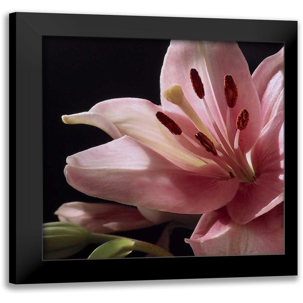 Burkhart, Monika 20x20 Black Modern Framed Museum Art Print Titled ...