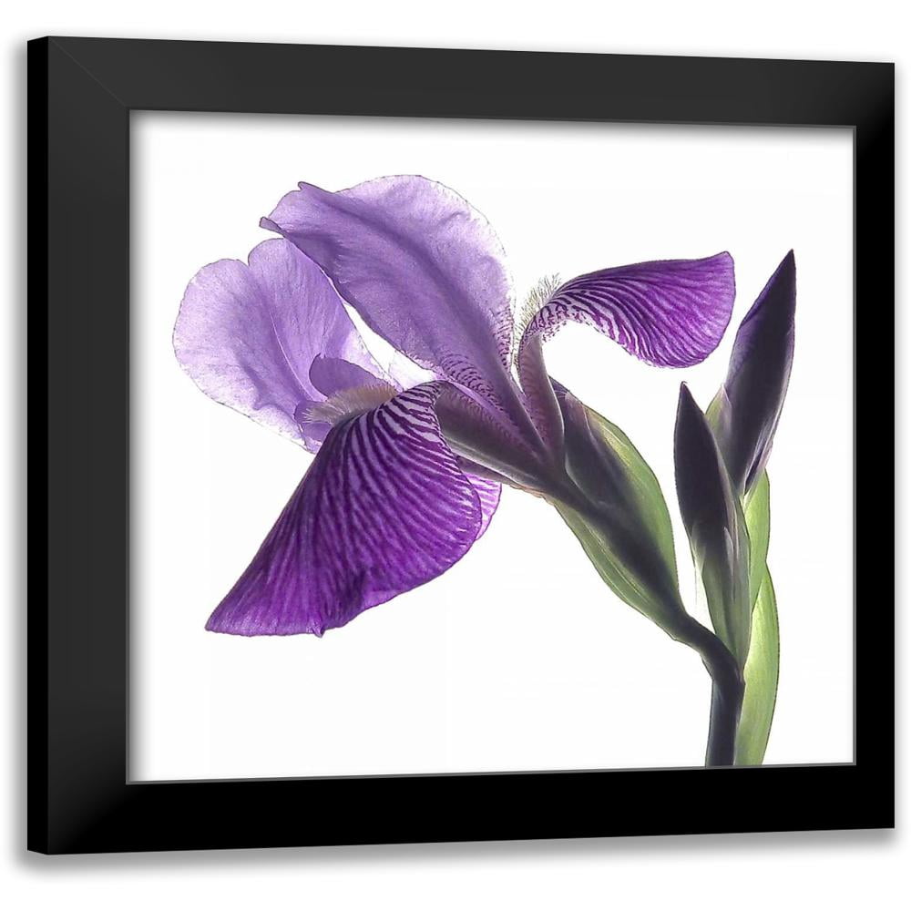 Burkhart, Monika 20x20 Black Modern Framed Museum Art Print Titled ...