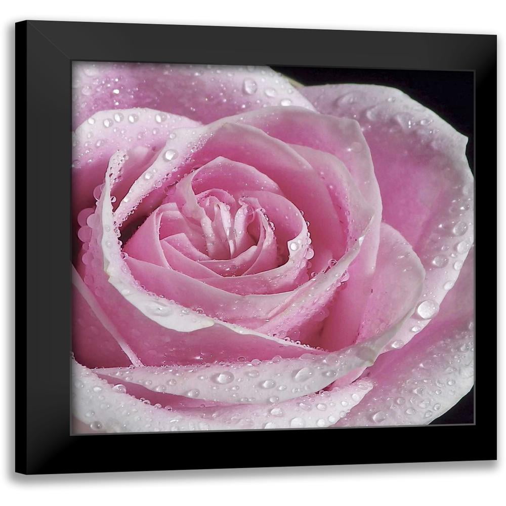 Burkhart, Monika 20x20 Black Modern Framed Museum Art Print Titled ...