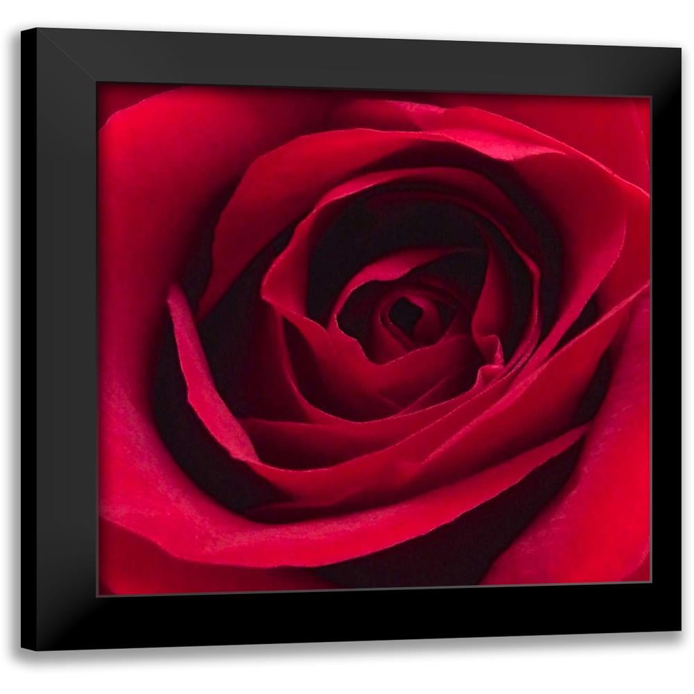 Burkhart, Monika 20x20 Black Modern Framed Museum Art Print Titled ...
