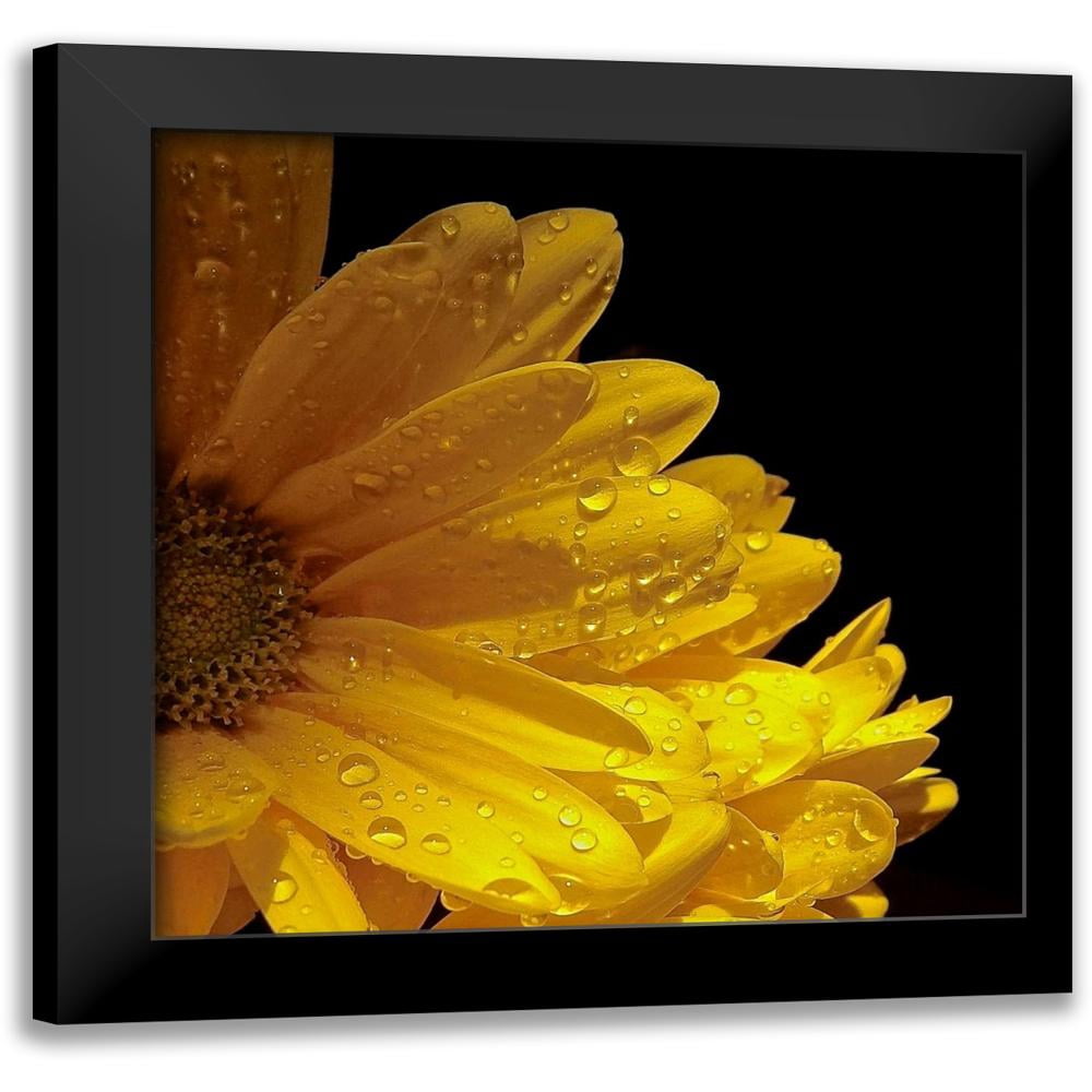 Burkhart, Monika 20x20 Black Modern Framed Museum Art Print Titled ...