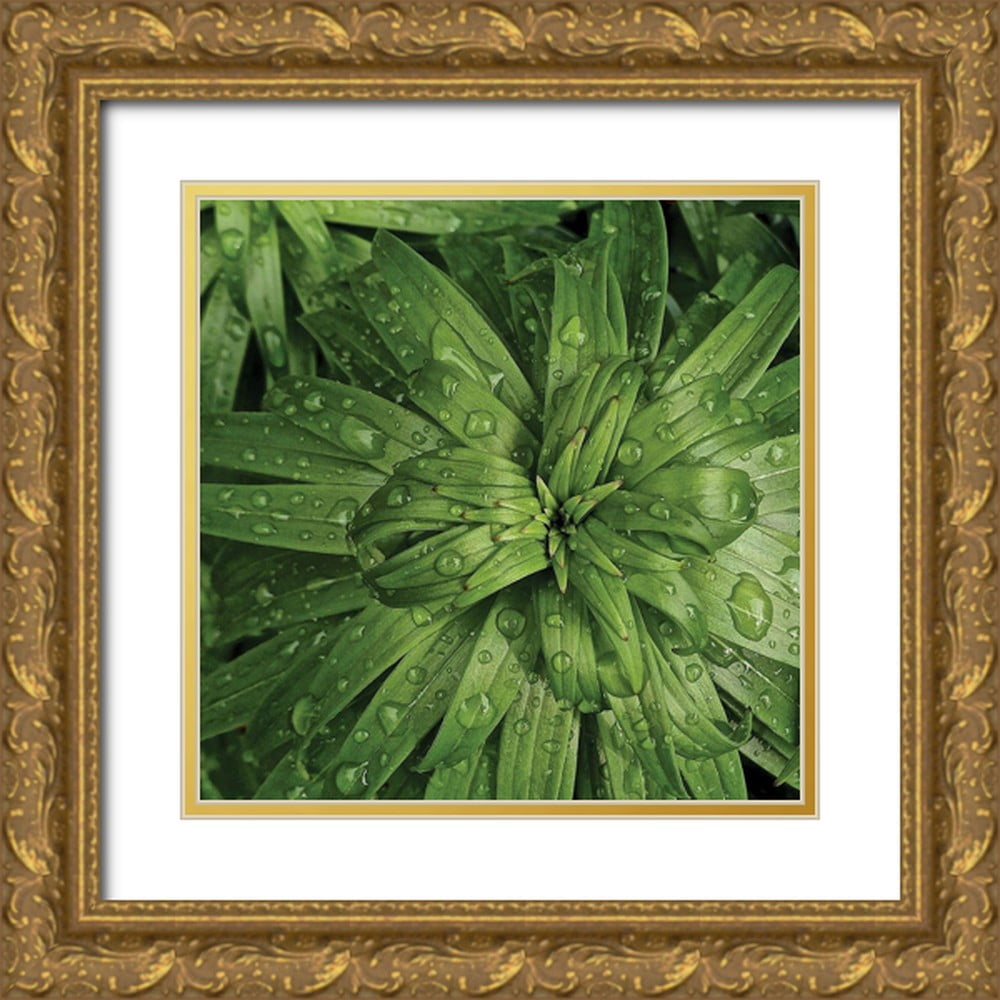 Burkhart, Monika 20x20 Gold Ornate Wood Framed with Double Matting ...