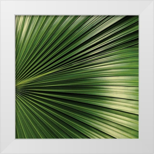 Burkhart, Monika 20x20 White Modern Wood Framed Museum Art Print Titled ...