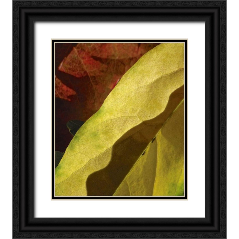 Burkhart, Monika 20x23 Black Ornate Wood Framed with Double Matting ...