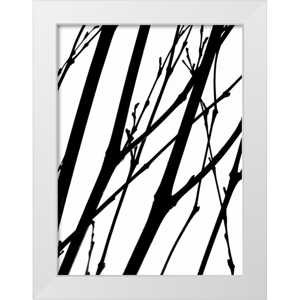 Burkhart, Monika 25x32 White Modern Wood Framed Museum Art Print Titled ...