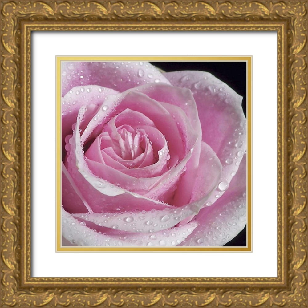 Burkhart, Monika 26x26 Gold Ornate Wood Framed with Double Matting ...