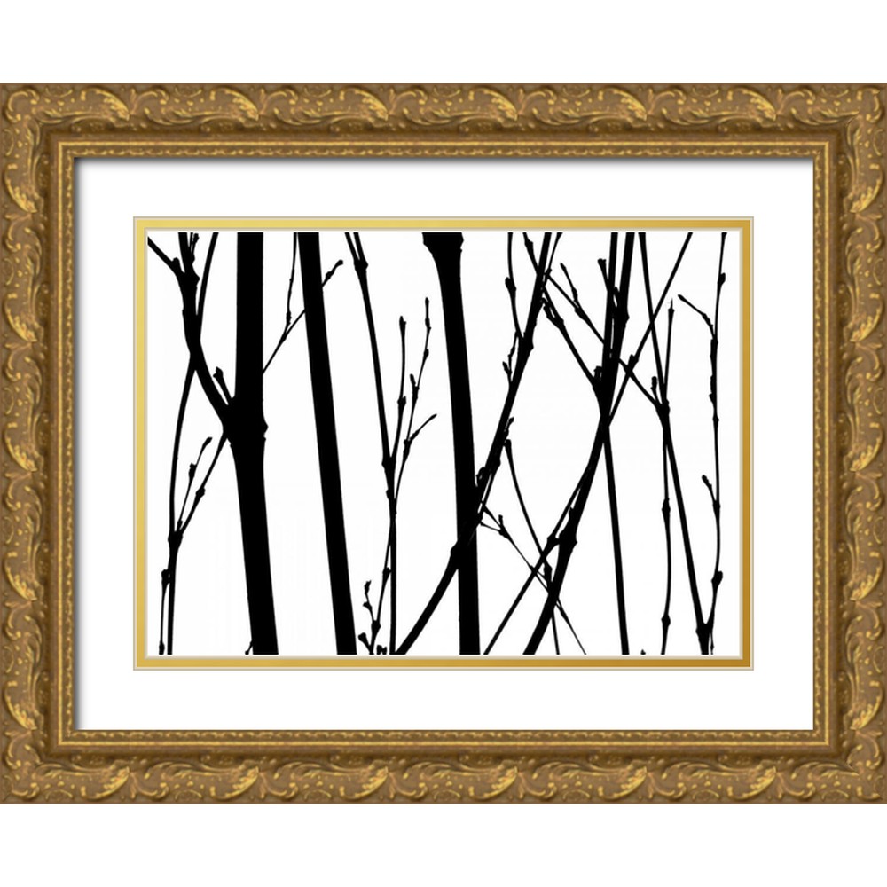 Burkhart, Monika 32x24 Gold Ornate Wood Framed with Double Matting ...