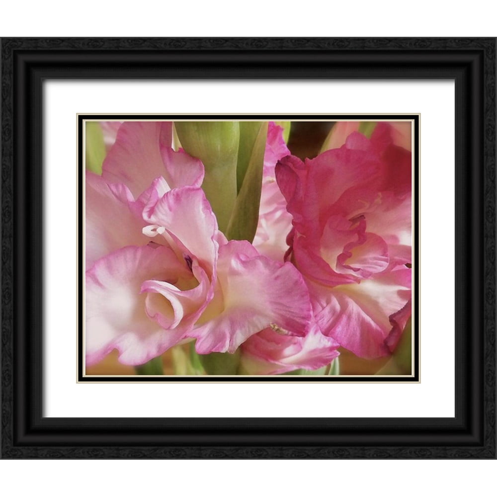 Burkhart, Monika 32x26 Black Ornate Wood Framed with Double Matting ...