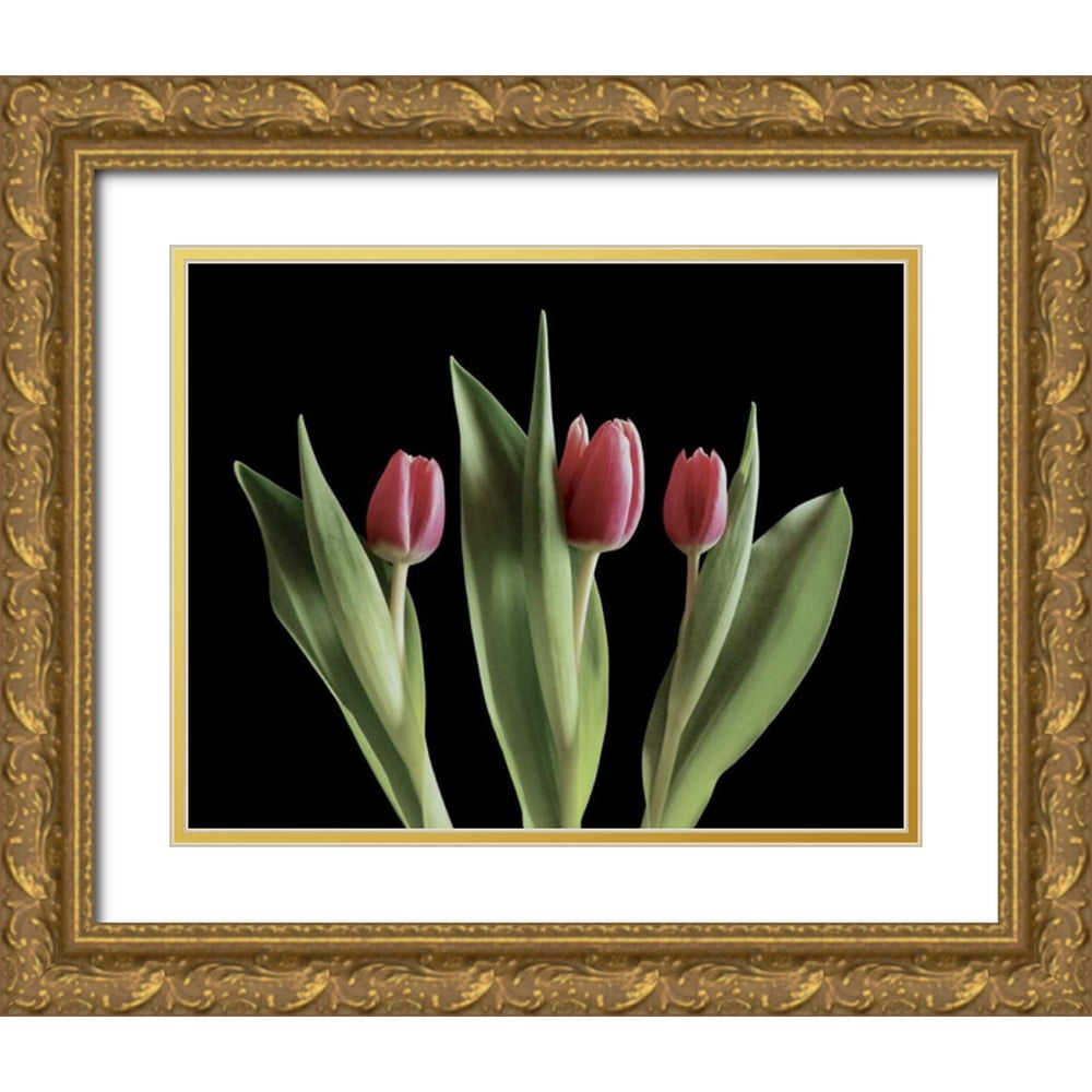 Burkhart, Monika 32x26 Gold Ornate Wood Framed with Double Matting ...