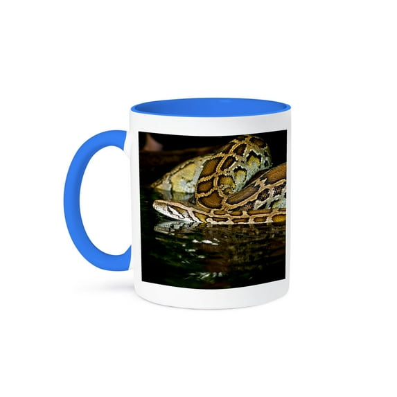 Burmese Python Snake Native To China And Malaysia - Na02 Dno0874 - David Northcott, 15oz Two ...