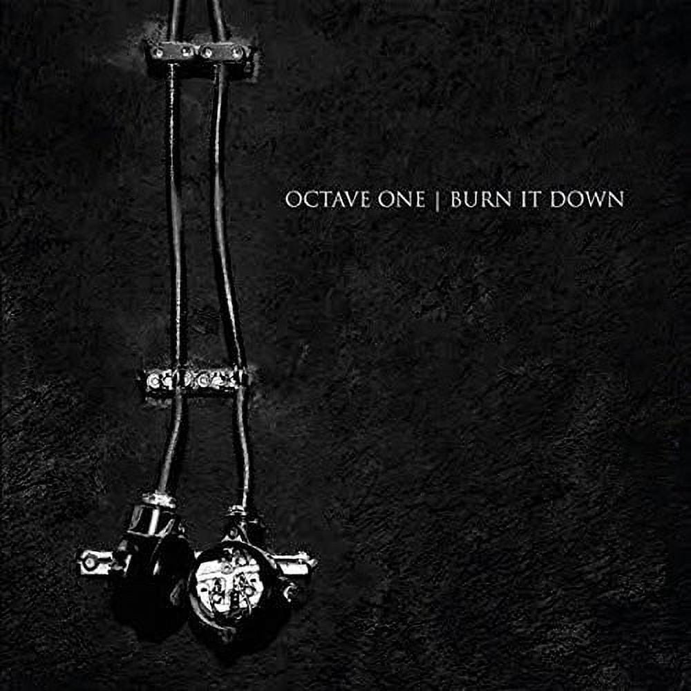 Octave One - Burn It Down - Music & Performance - CD - Walmart.com