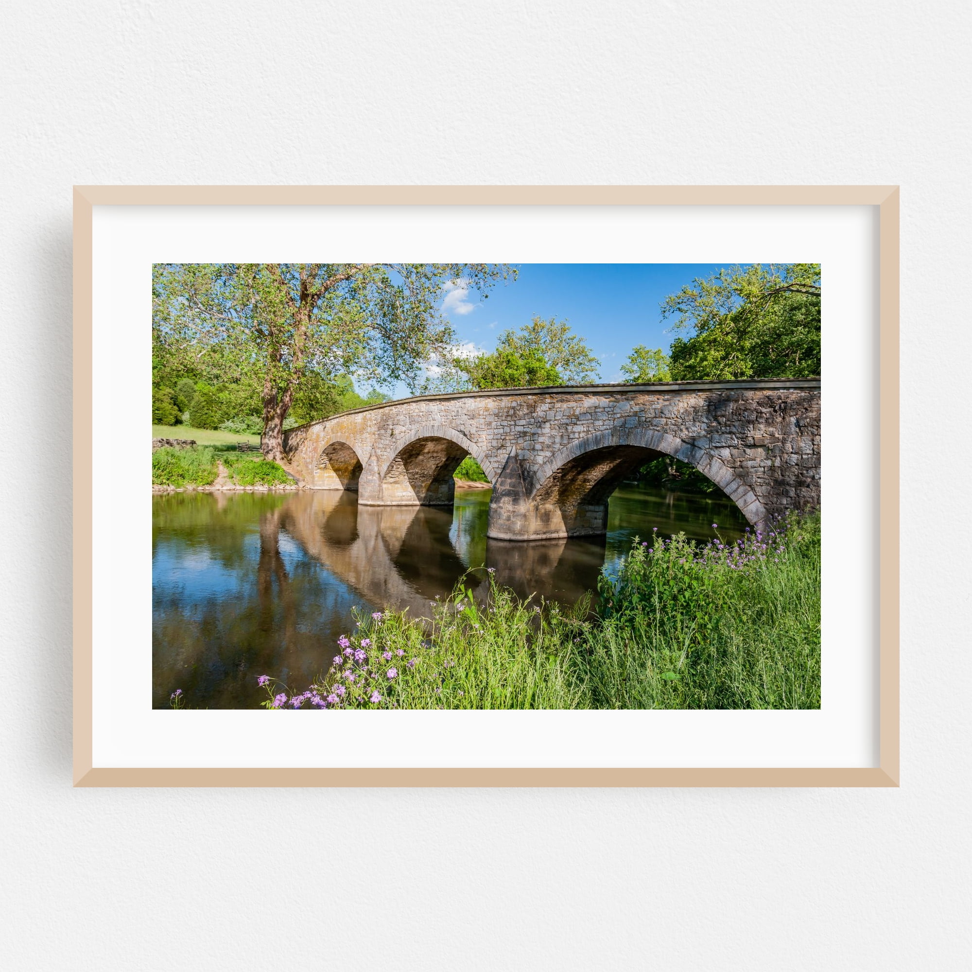 Burnside Bridge and Witness Tree - Sharpsburg Maryland Photography ...
