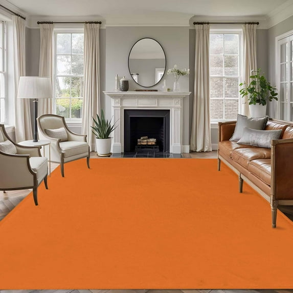 Burnt Orange Area Rugs 5x7 for Living Room, Farmhouse Solid Orange ...