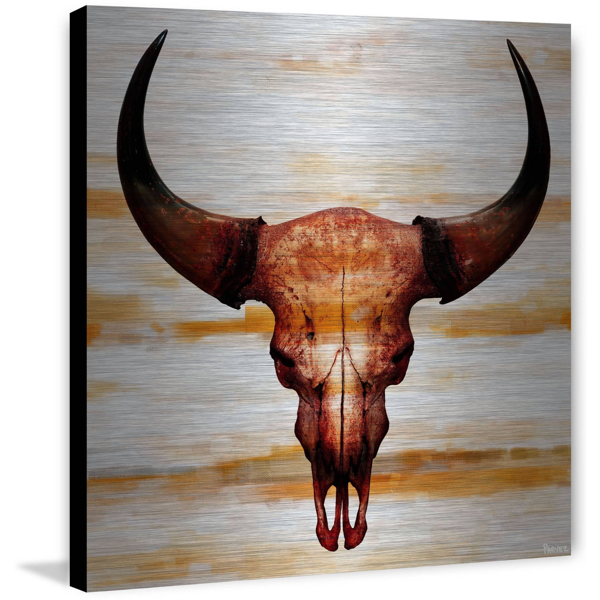 "Burnt Orange Skull" Painting Print on Brushed Aluminum - Walmart.com