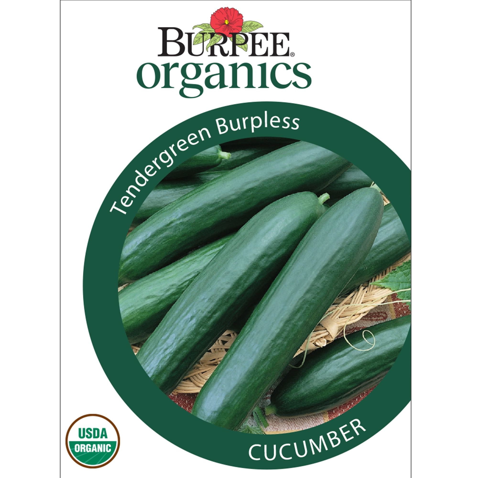 Burpee 800 mg Organics Tendergreen Burpless Cucumber, Annual Vegetable ...