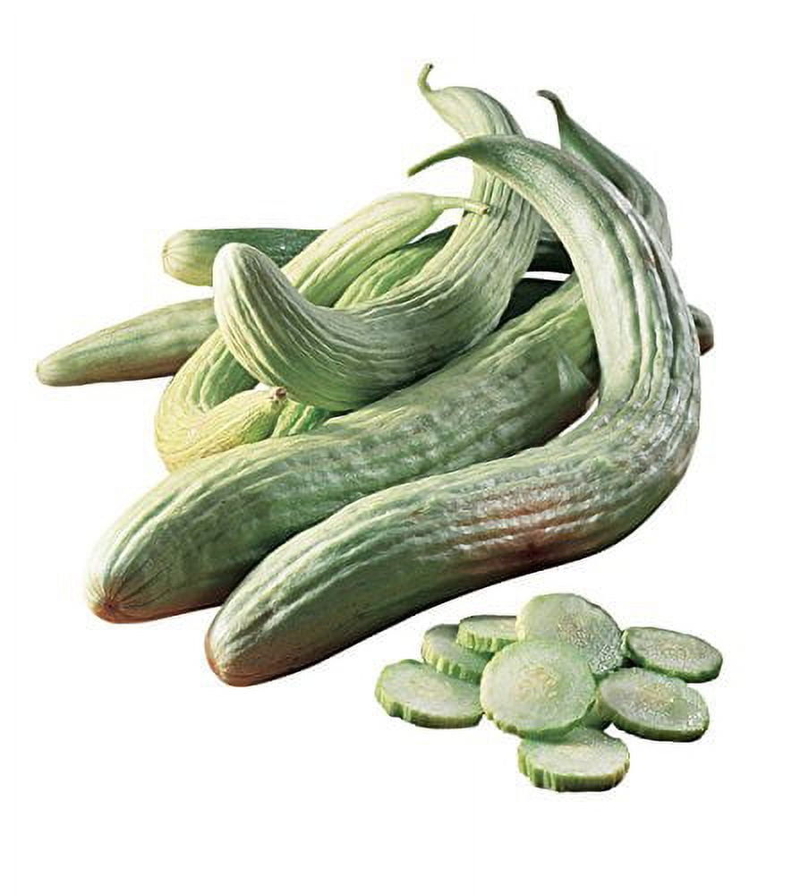 Burpee Armenian Cucumber Seeds 100 seeds - Walmart.com