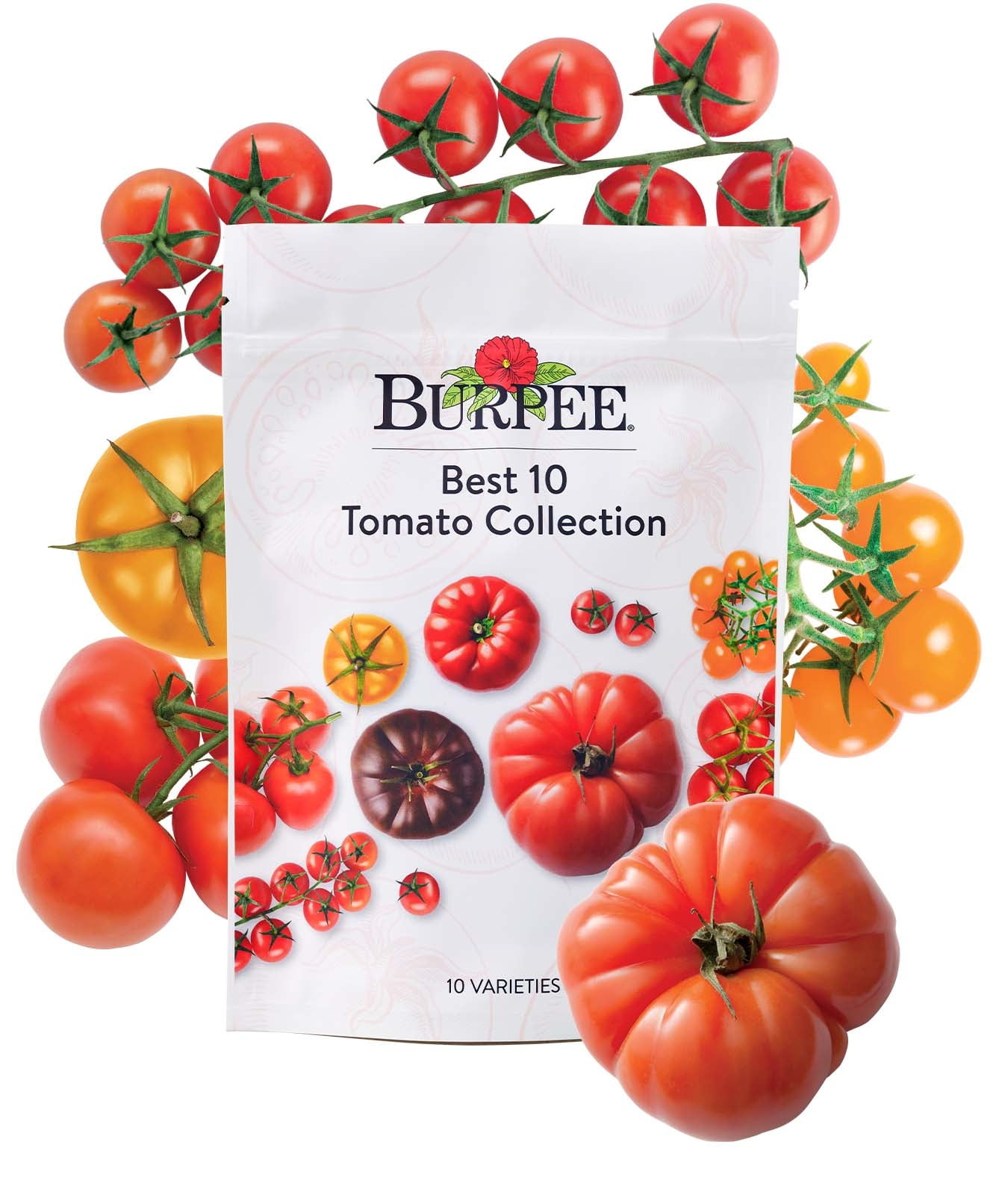 Burpee Best 10 Tomato Seed Collection, Annual Vegetable, Full Sun ...