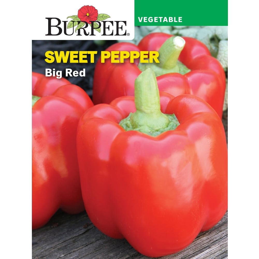 Burpee Big Red Sweet Pepper Vegetable Seed, 1-Pack - Walmart.com