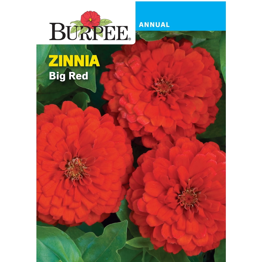 Burpee Big Red Zinnia Flower Seed - Walmart.com