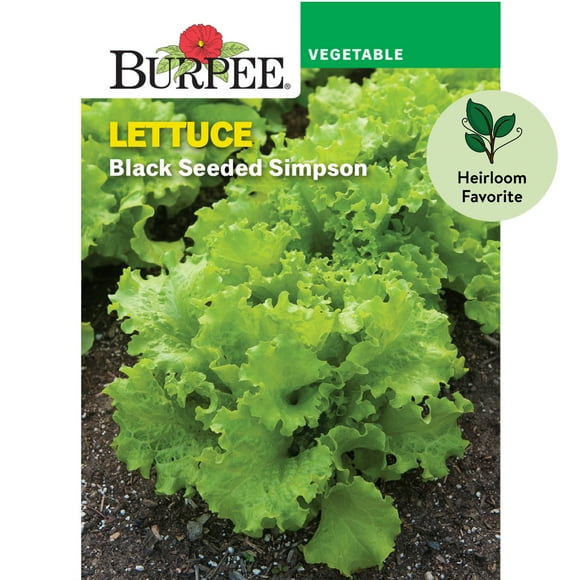 Lettuce Seeds in Seed Gardening - Walmart.com
