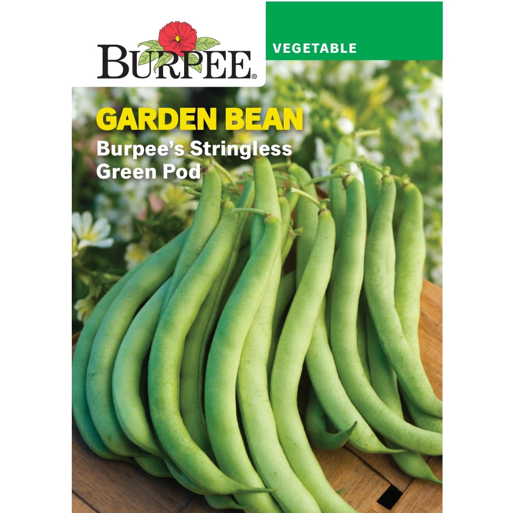 Burpee Burpee's Stringless Green Pod Bean, Garden Vegetable Seed ...
