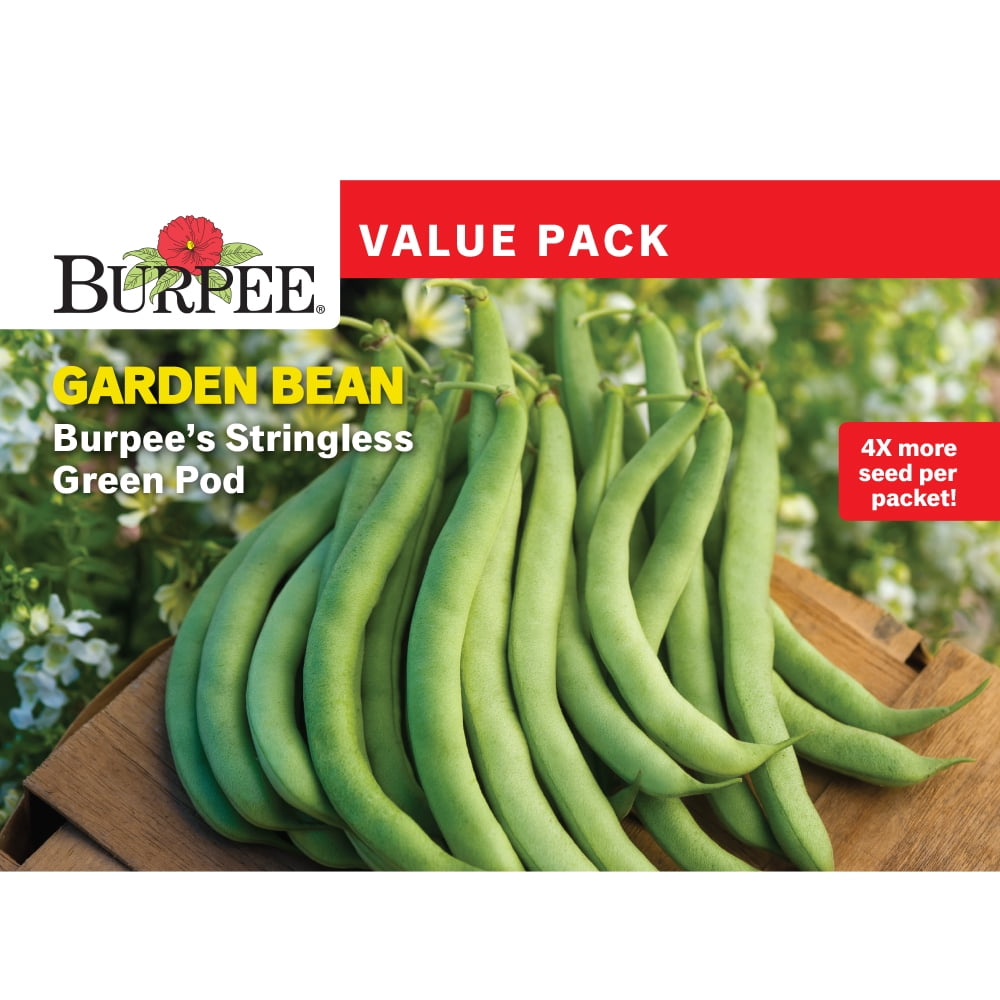 Burpee Burpee's Stringless Green Pod Garden Bean Vegetable Seed Value ...