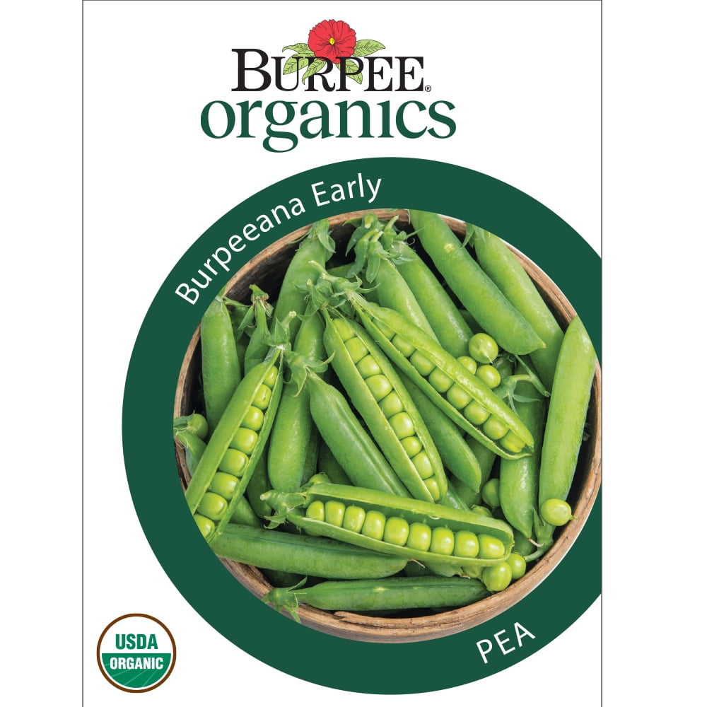 Burpee Burpeeana Early Pea Vegetable Seed - Walmart.com